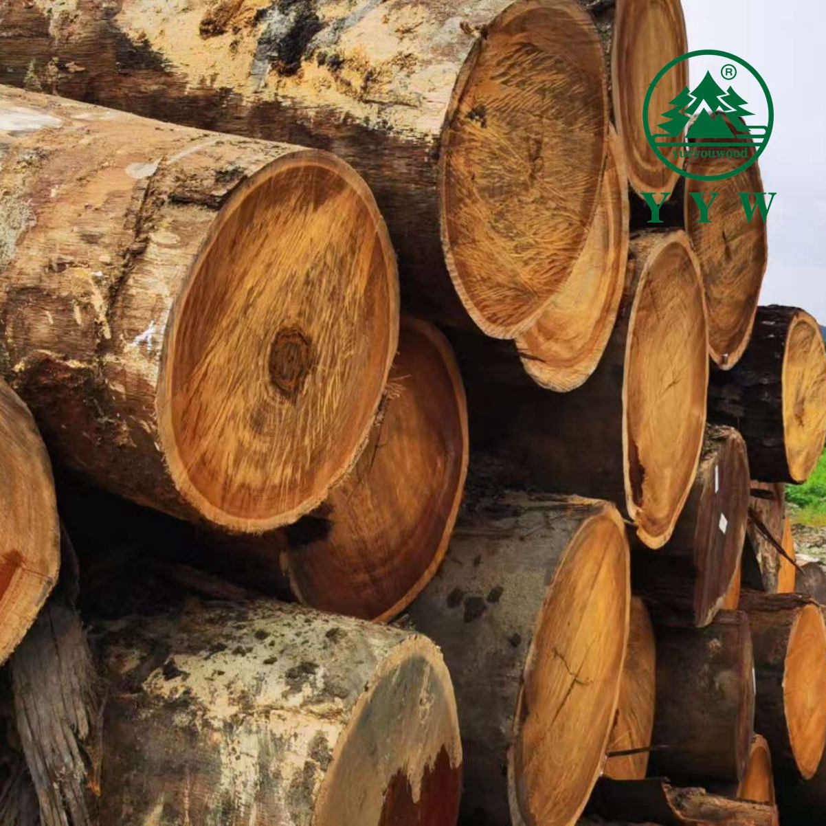 Tali Wood | YYW Timber